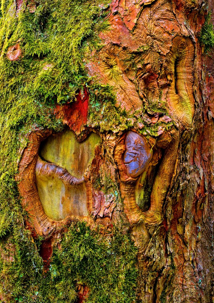 Verwundet – Uwe Gaasch – Fotografie und Kunst